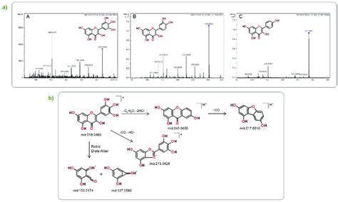 A Tandem Mass Spectra Obtained By Lc Esi Hrmsms Of Flavonoids Download Scientific
