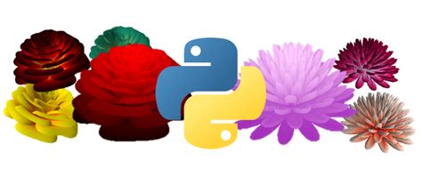 How To Plot Rose And Dahlia Flower With Python By Mohammad Aryayi Medium