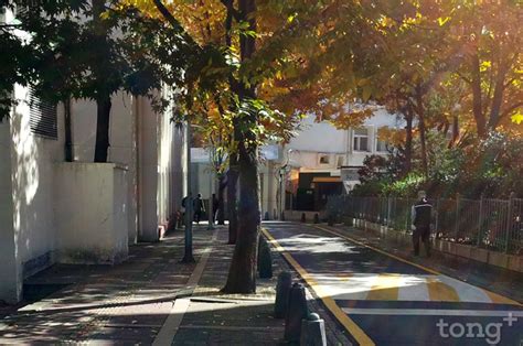 보행자는 무조건 우측통행 이면도로에서는 좌측통행이 안전해요 디지틀조선일보디조닷컴