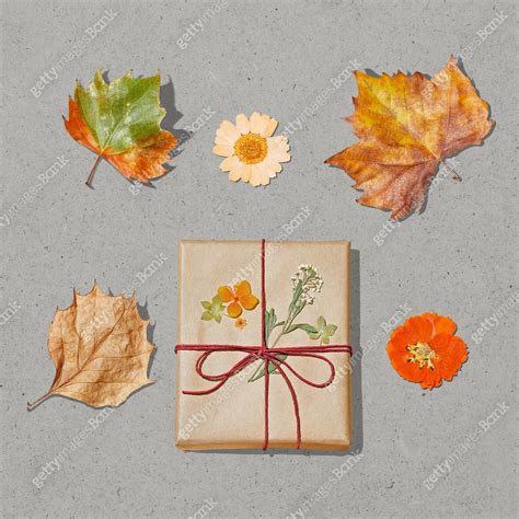 그래픽이미지 computer graphics 합성 computer graphics 디자인엘리먼트 이미지 오브젝트