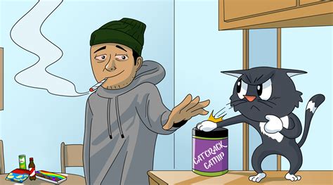 How To Use Catnip For Starters Dont Smoke It Cat Crack Catnip