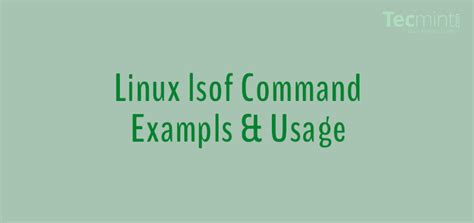 10 Screen Command Examples To Manage Linux Terminals