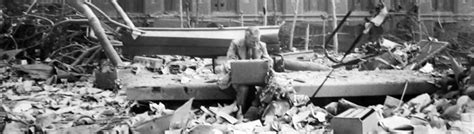 Leap Brian Doyle By University Of Portland Brian Doyle On September 11 Medium