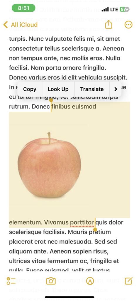 How To Paste Images To Textfield Flutter · Issue 128205 · Flutter