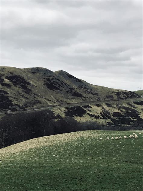 Hello We Thought It Might Be Useful To Tell You A Bit More About Our