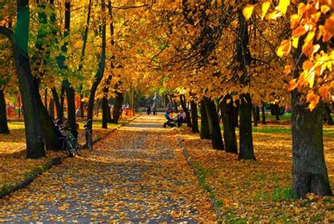 Осінь на порозі: жовто-багряний Ковель на світлинах місцевого фотографа ...
