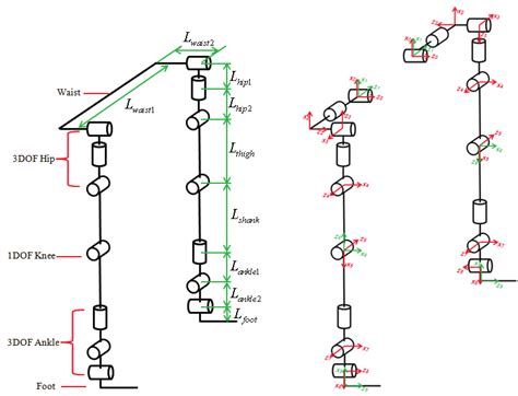 A 14 Dof Kinematic Model Of The Exoskeleton B 9 Dof Of Download Scientific Diagram