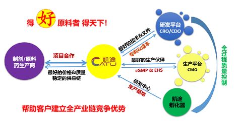 新型cdmo商业模式