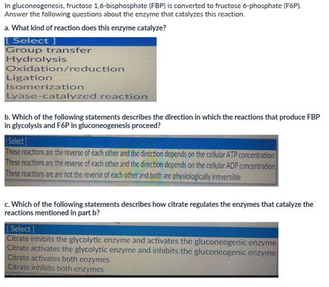 Solved In Gluconeogenesis Fructose 1 6 Bisphosphate Fbp