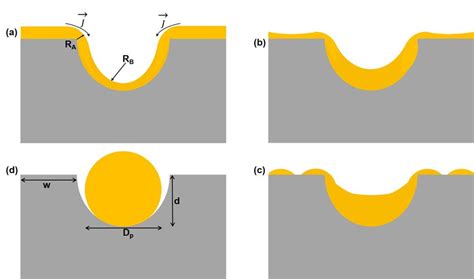 Schematic Illustration Of Curvature Driven Evolution Of The Metal Film Download Scientific