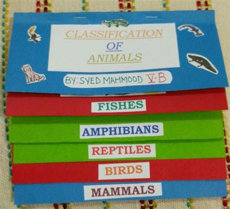 Flip Book Of Classification Of Animals Animal Classification For