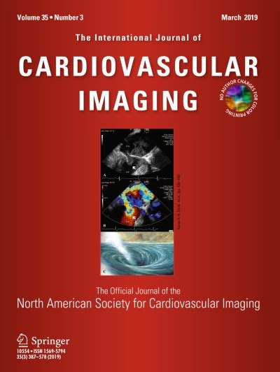 Successful Radiofrequency Catheter Ablation Of Atrial Fibrillation Is
