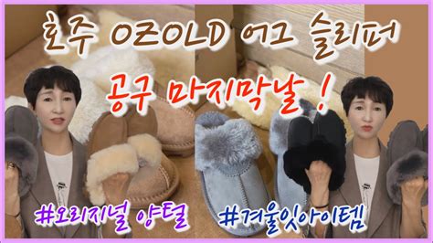 Ugg 어그 슬리퍼 Ozold 코케트 어그 공구 마지막날입니다정품 어그 호주 오리지널 양털 겨울 필수템 어그 슬리퍼 Youtube