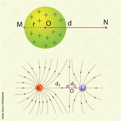 Optics Reflection Lesson Forms Light Reflection Infographic Diagram With Example Of Light