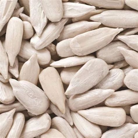 Sunflower Seed Kernels Gulfood 2025
