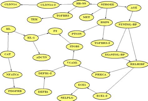 A Bayesian Network Representing A Complex Trait Given By The