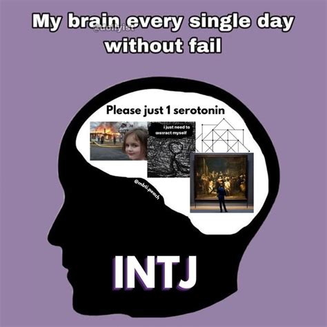 An Intj That S Slightly Irritated 👿 Mbti Mbti Peach Instagram