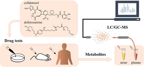 LCGC Or GCMS Methods Are Used To Globally Profile Pharmacokinetic Download Scientific Diagram