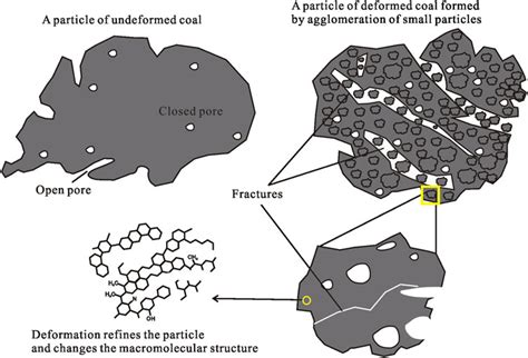 Frontiers Particle Size And Internal Structure Of Deformed Coal Microstructure And Adsorption