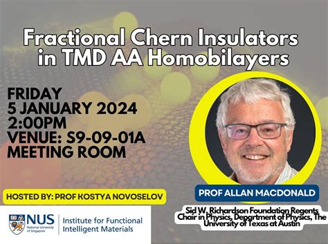 Fractional Chern Insulators In Tmd Aa Homobilayers