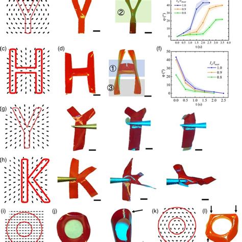 Shape Morphing Of Different Molecular Orientations And Geometry