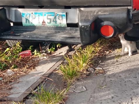 License Plates Object Detection Dataset By Johnvee Mandal