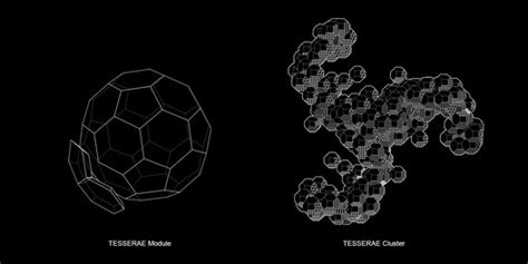 Architecture For Inhabiting Space Tessellated Reconfigurable