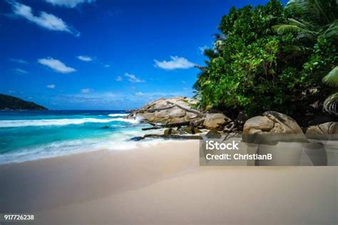 아름 다운 낙원 열 대 해변 야자수 바위 하얀 모래 청록색 물 세이셸 15 거친에 대한 스톡 사진 및 기타 이미지 거친