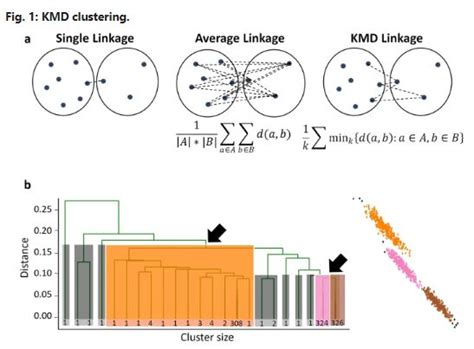 Kmd Clustering Robust General Purpose Clustering Of Biological Data