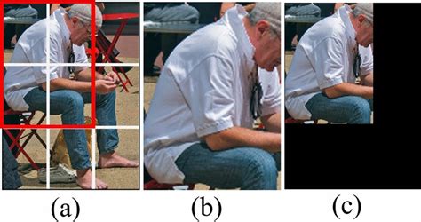 A Example Of A Cropping Case S Visualized In Red Box B Cropped Example