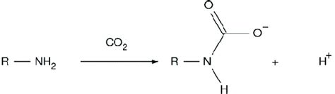 generic reaction of carbamate synthesis download scientific diagram