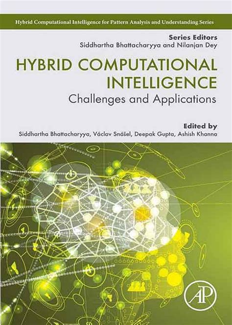 Hybrid Computational Intelligence Challenges And Applications Morning