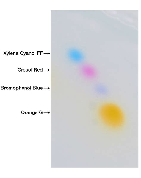 Loading Buffers Red Blue Orange And Cyan