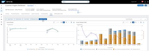 Cases Overview In Customer Insights Reporting Da Sap Community