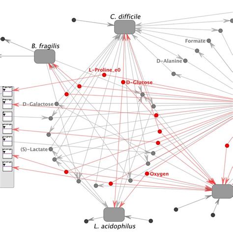 Workflow Of Visualization Of Metabolic Networks And Associated