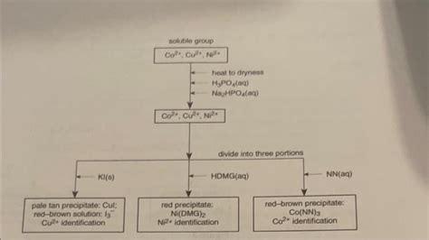 5 prepare a flowchart that includes all of the steps