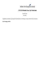 Working With Files Insert Your Name And Take A Screenshot CYB Course Hero