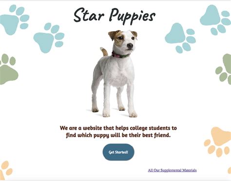 Firebase Web App Behance