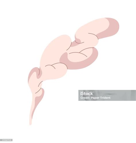 부드러운 담배 연기 구름이 공기 중에 날아다닙니다 추상적 인 모양의 담배 연기 스모그 스트림 트레일의 실루엣입니다 증기 증기 운동의 만화 트랙 흰색 배경에 평평한 고립 된