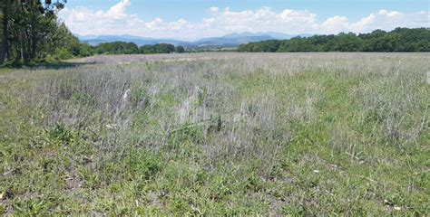 იყიდება მიწის ნაკვეთი დუშეთი მცხეთა მთიანეთი