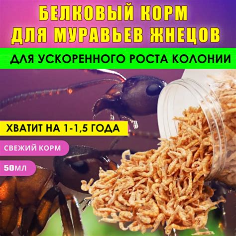 Белковый корм для муравьев (Годовой запас) - купить по выгодной цене ...