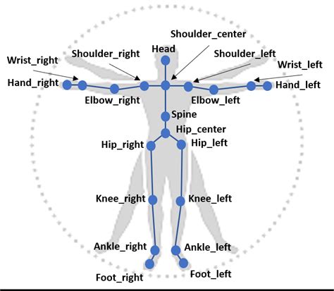 3 Example Of Skeletal Body Model Obtained From A Microsoft Kinect Download Scientific Diagram