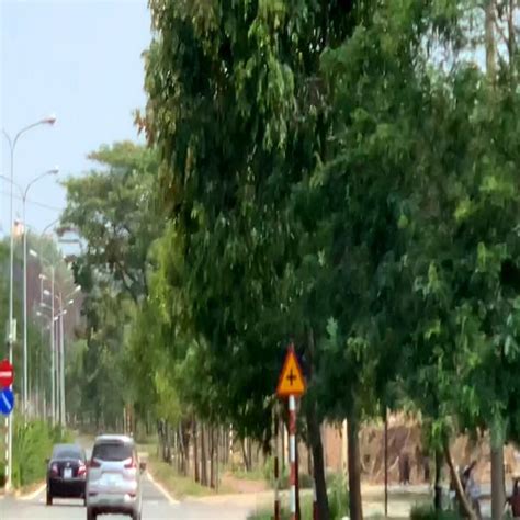 How To Use The Traffic Sign Detection Object Detection Api