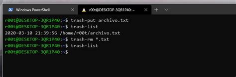 Trash CLI la aplicación que nos permite añadir una papelera de