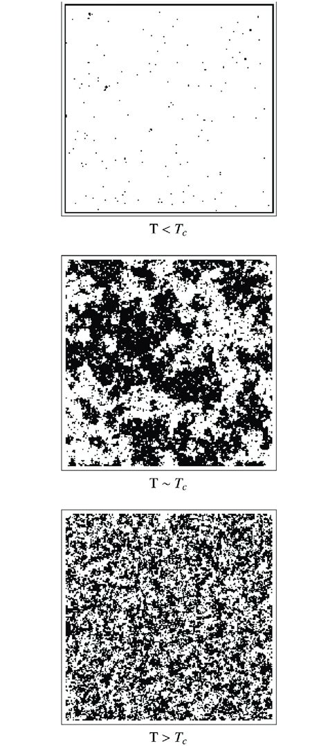 Typical Spatial Configurations For A 2 Dimensional Ising Model Three