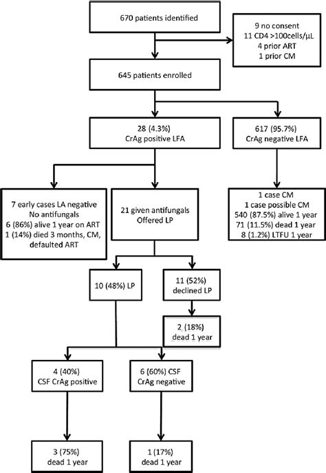 Cryptococcal Antigen Semantic Scholar