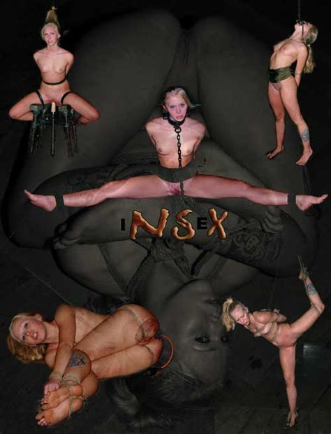 INSEX ARCHIVES Updates