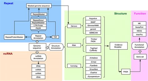 diagrammatic sketch of the annotation pipeline download scientific
