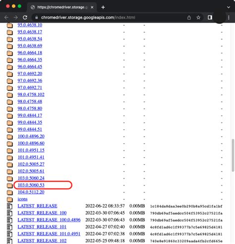 Setup Selenium For Python