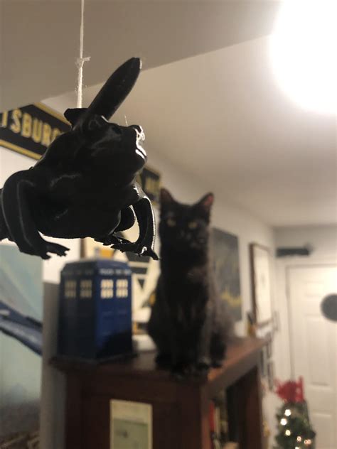 Plotting To Capture The Missle Toad Rblackcats